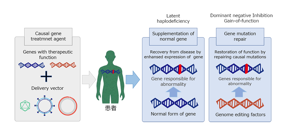 Science | 株式会社 VC Gene Therapy